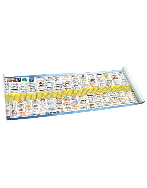 AUSTRALIAN MAXI FISH MAT 1.5M – Mr Bait